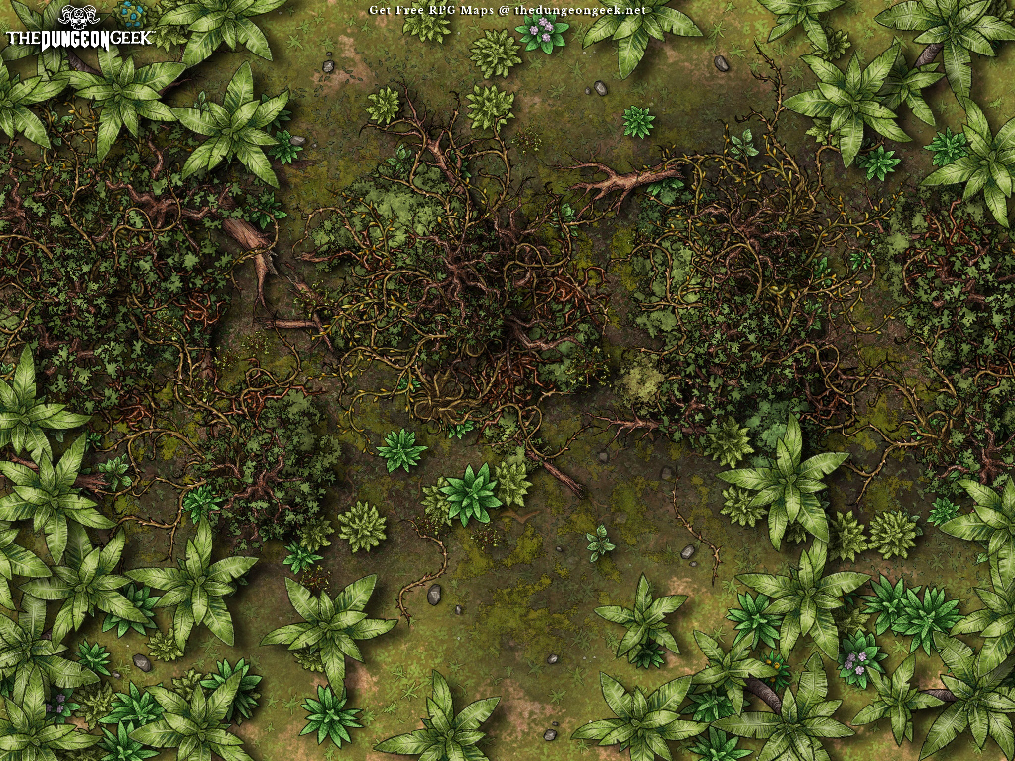 Free RPG Battle Map Pack- Jungle Day & Night – The Dungeon Geek