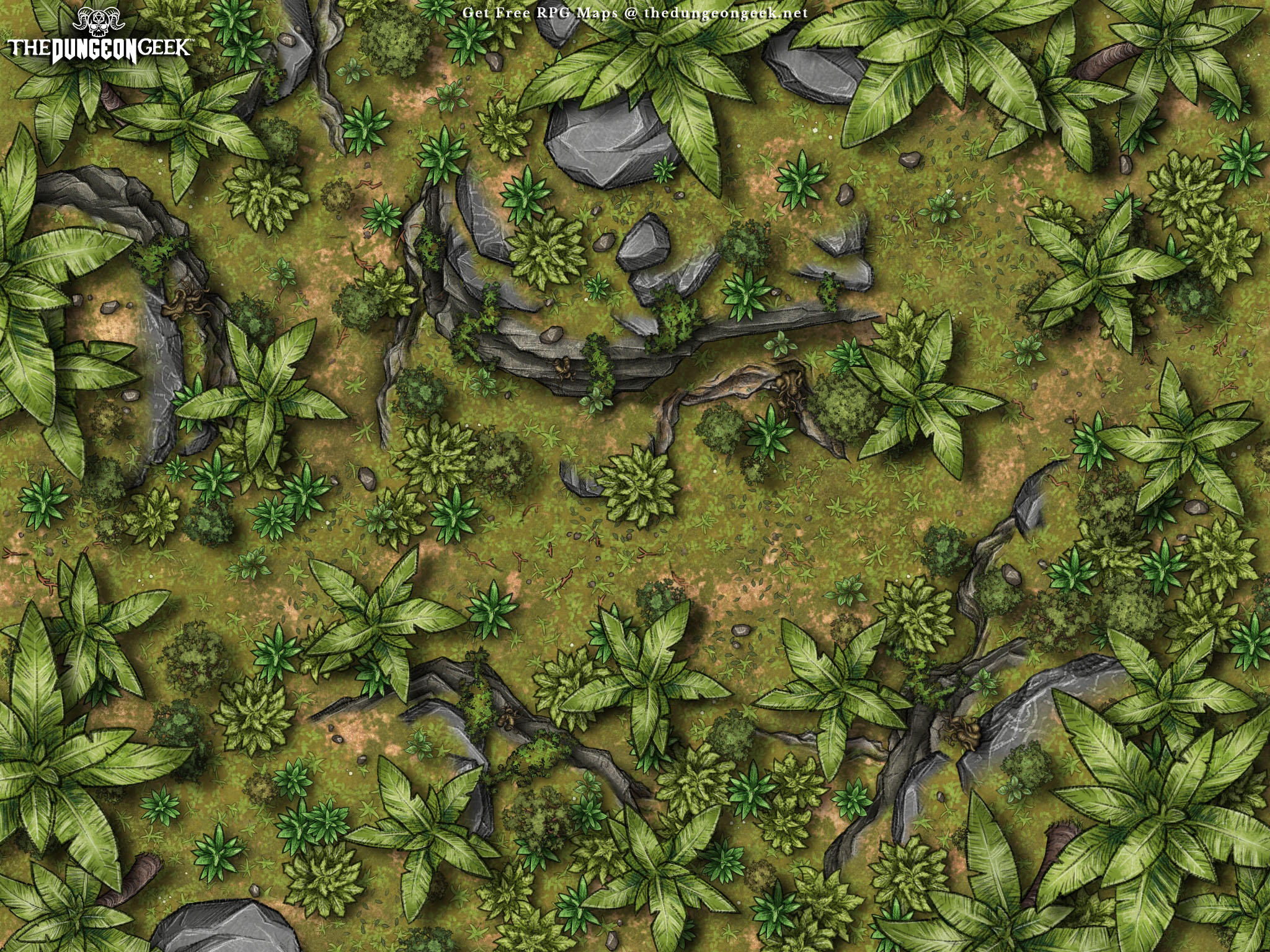 Free RPG Battle Map Pack- Jungle Day & Night – The Dungeon Geek